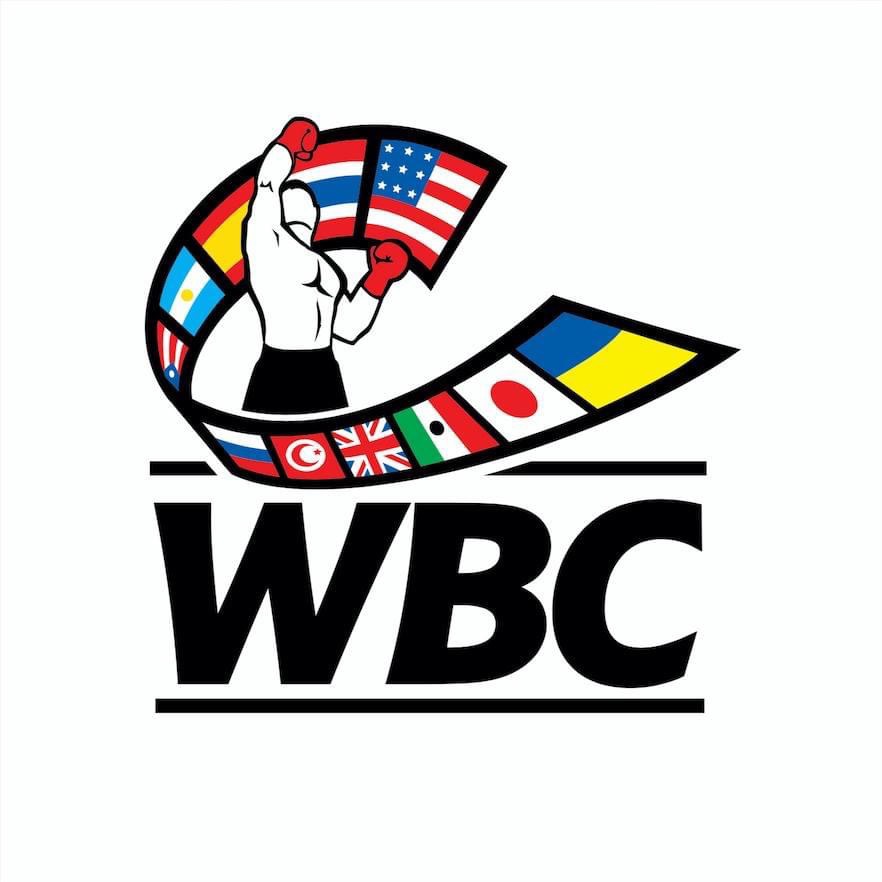 OFFICIAL STATUS OF THE WORLD BOXING COUNCIL IN HONG KONG AND SOUTH ...